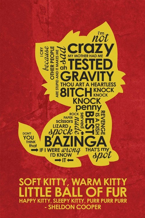 Wb Official Licensed Big Bang Theory Sheldon Cooper - Sheldon Cooper ...