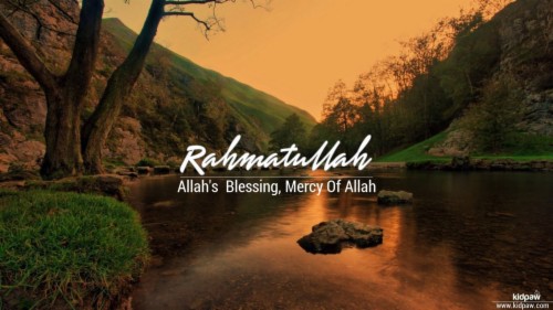 Ganesh Name Wallpaper Group > - Rahmatullah Meaning In Urdu (#990917 ...