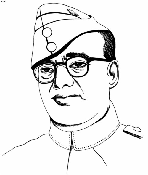 Subhash Chandra Bose Line Art (#997250) - HD Wallpaper & Backgrounds ...